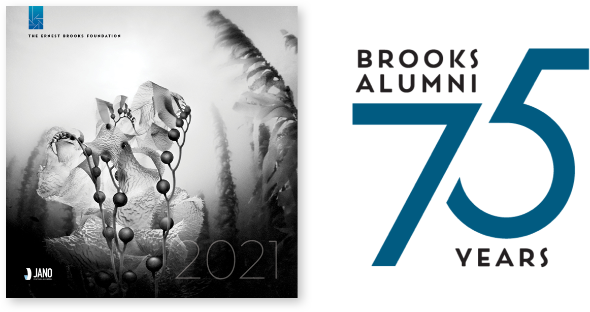 Ernest Brooks Foundation | homepage